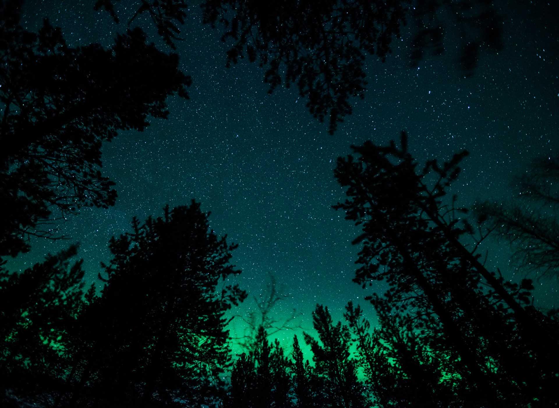 DeltaWalker: Advanced File and Folder Comparison and Synchronization